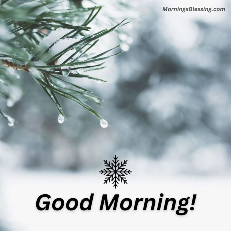 Good Morning Winter Images, Wishes, Greetings & GIFs