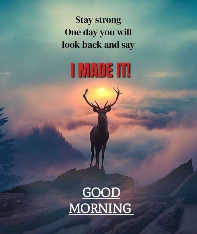 Images And GIFs Featuring Lovely Deer In The Morning.