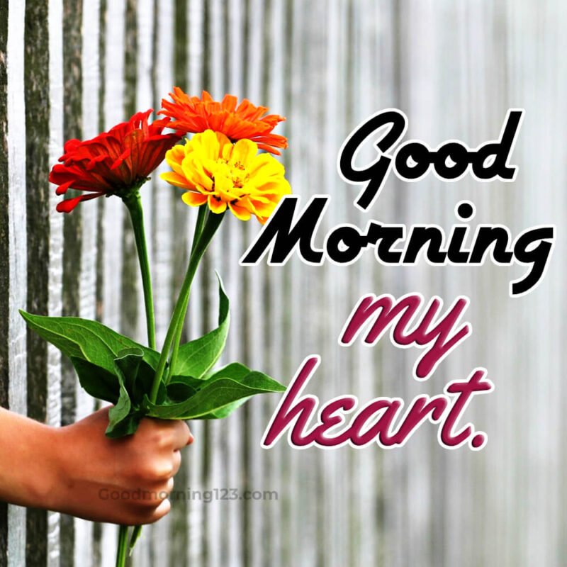 Start Her Day Right: Good Morning Images and Messages for Wife