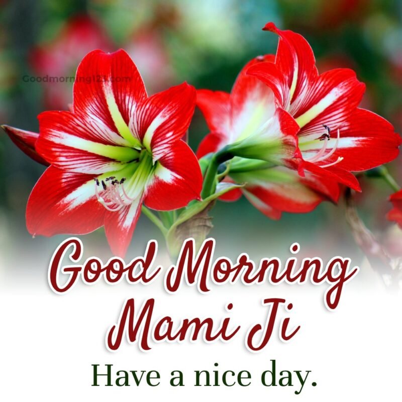 Mami Ji’s Daybreak Delight: Good Morning Wishes and Pictures