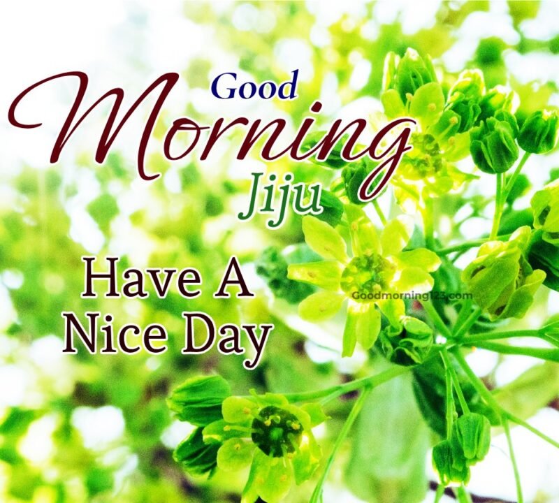 Warm Greetings for Jiju: Good Morning Wishes and Images