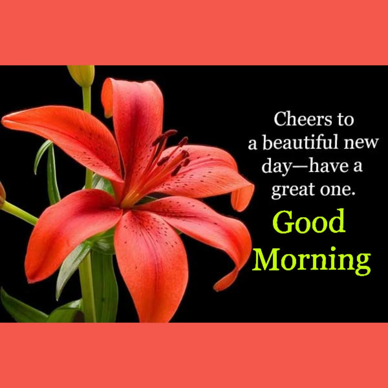 Good Morning Lily Flowers Images, Wishes & Greetings