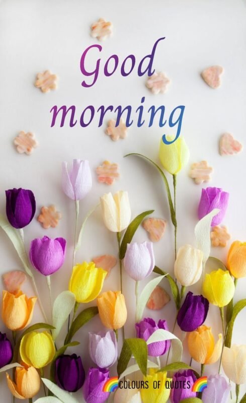 Good Morning Lily Flowers Images, Wishes & Greetings