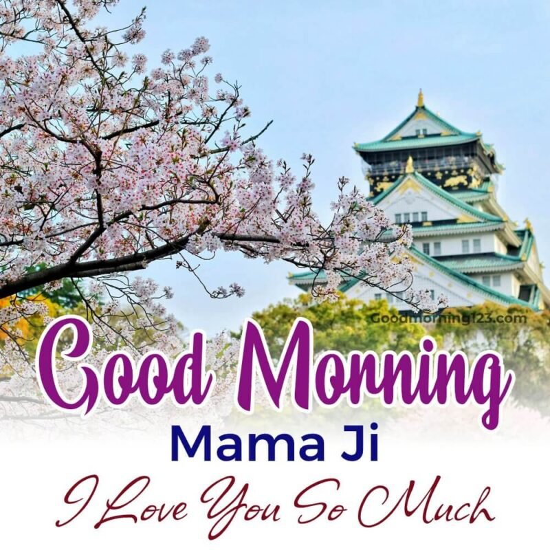 Heartfelt Greetings: Good Morning Mama Ji Images Galore