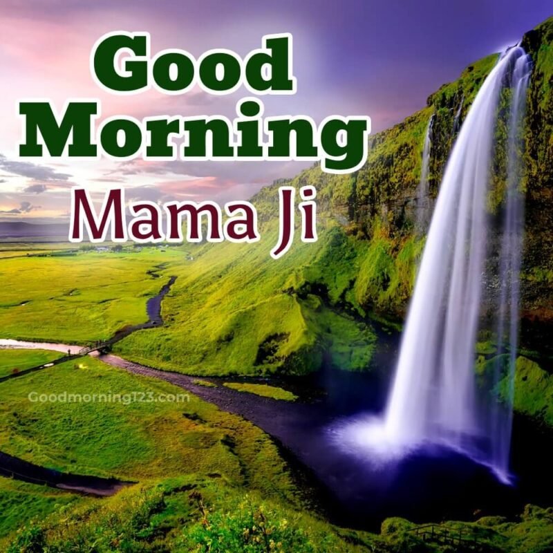 Heartfelt Greetings: Good Morning Mama Ji Images Galore