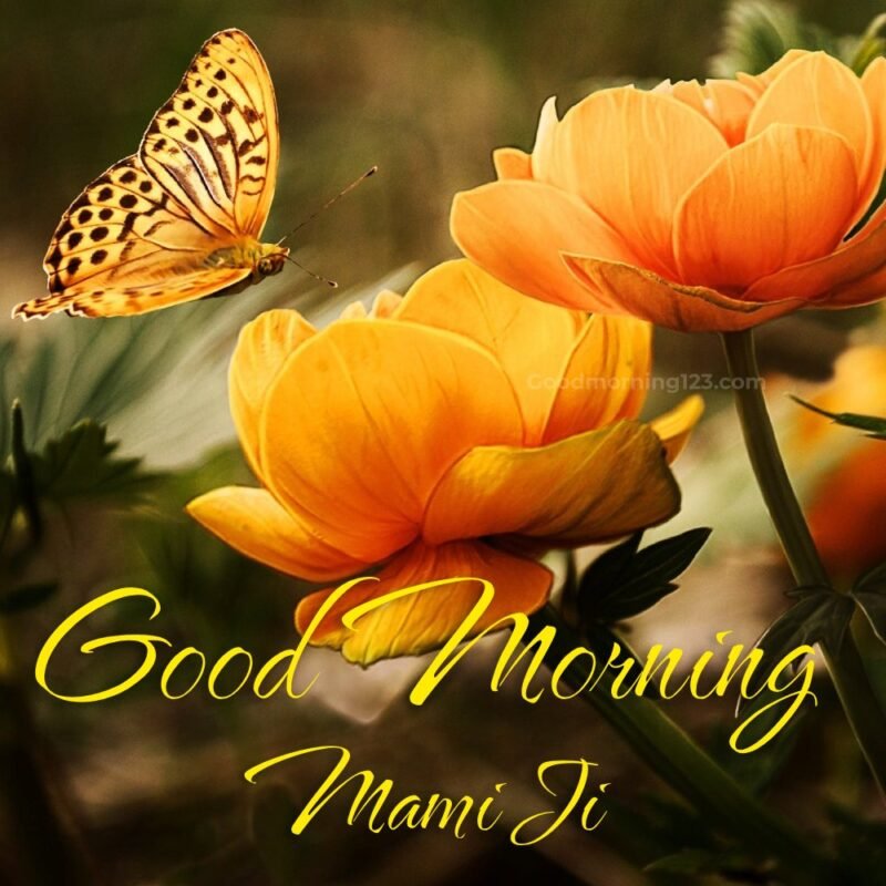 Mami Ji’s Daybreak Delight: Good Morning Wishes and Pictures