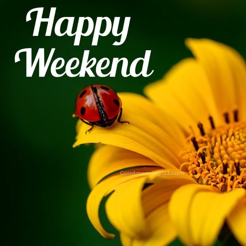 Good Morning Weekend Images, Wishes & Greetings