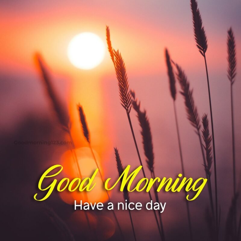 Good Morning Sunrise Images, Wishes & Greetings