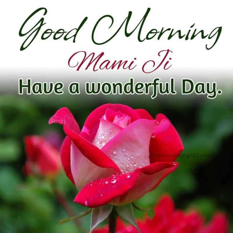 Mami Ji’s Daybreak Delight: Good Morning Wishes and Pictures