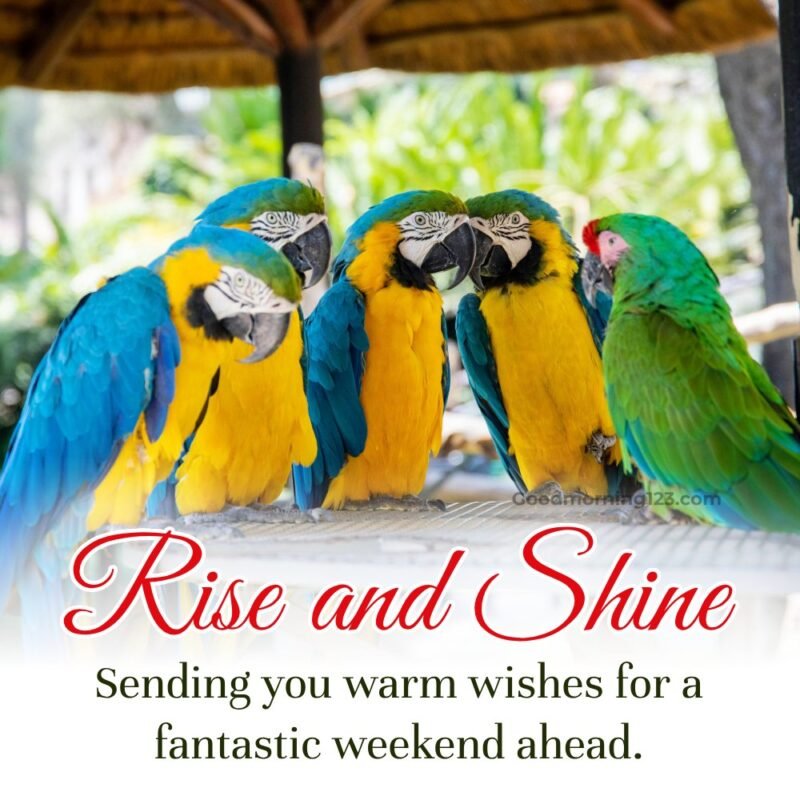 Good Morning Weekend Images, Wishes & Greetings