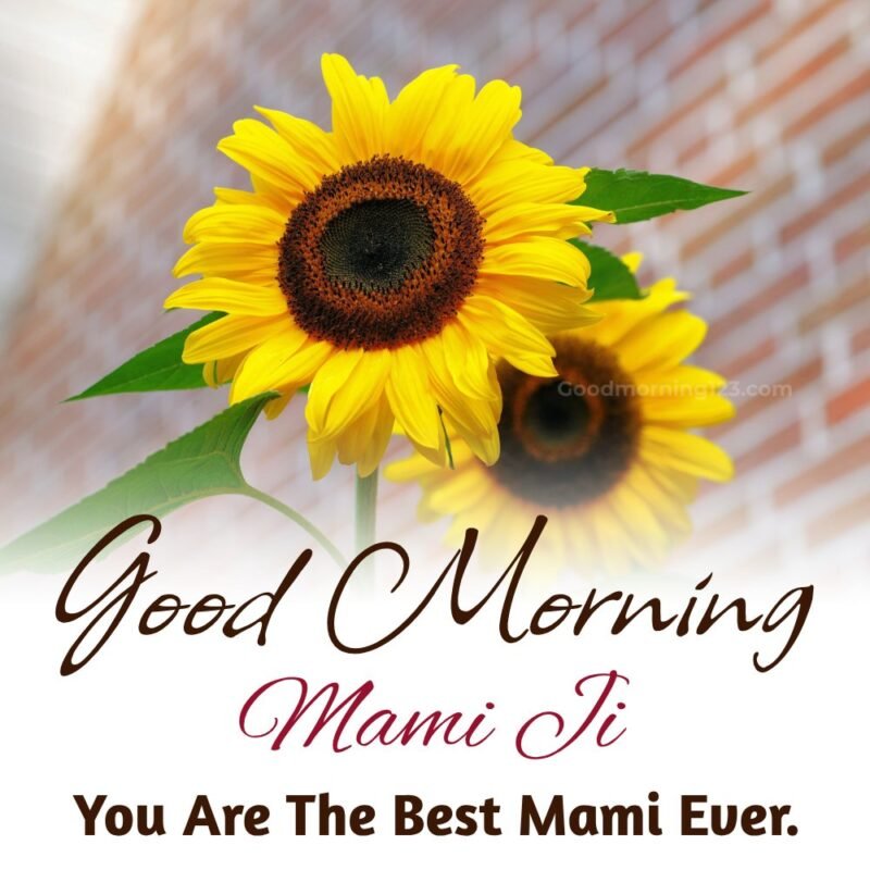 Mami Ji’s Daybreak Delight: Good Morning Wishes and Pictures