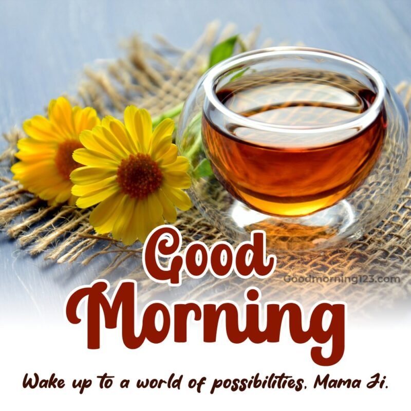 Heartfelt Greetings: Good Morning Mama Ji Images Galore