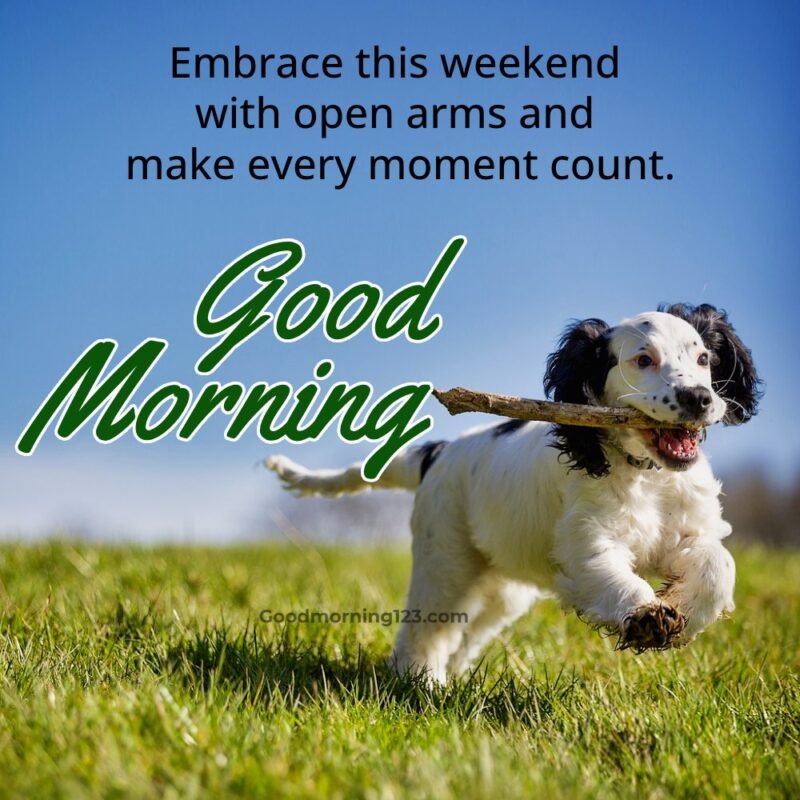 Good Morning Weekend Images, Wishes & Greetings