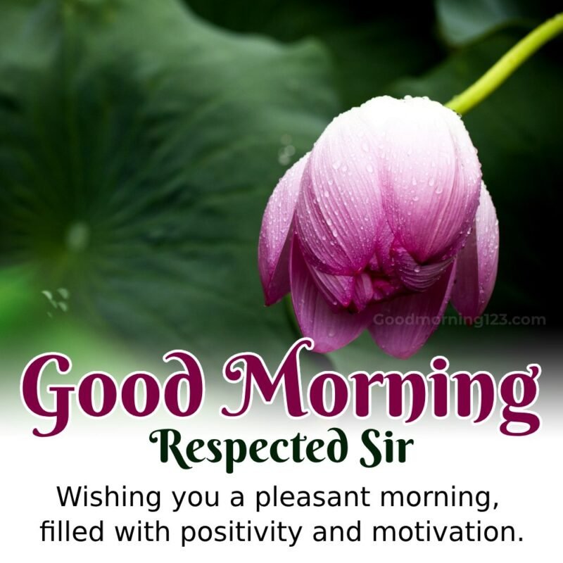 Greetings To Our Esteemed Sir: Good Morning Images And Positive Wishes