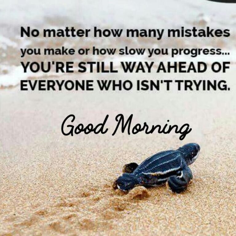 Turtle Good Morning Pictures And GIFs
