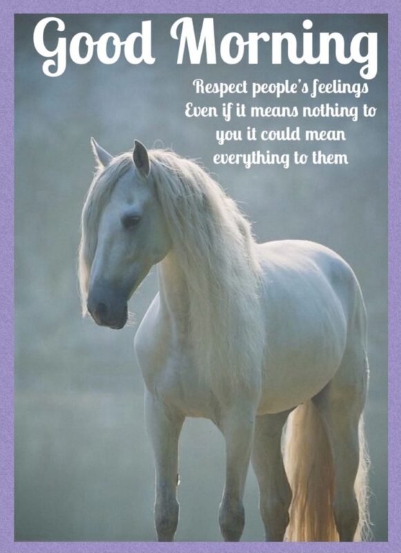 Horse Good Morning Pictures