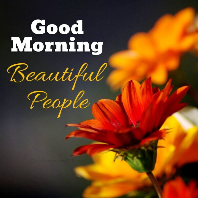 Good Morning Beautiful People Pictures