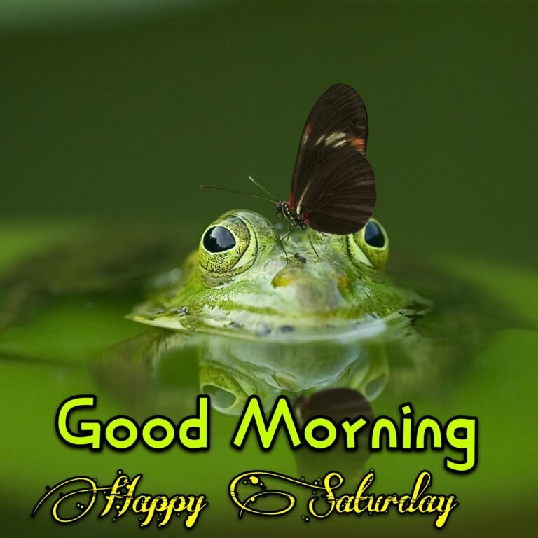 Good Morning Frog Pictures And GIFs