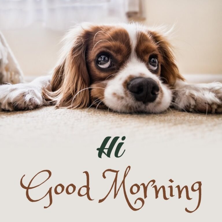 Hi Good Morning Pictures