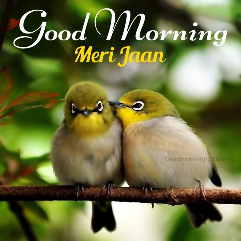 Lovely Good Morning Jaan Photos