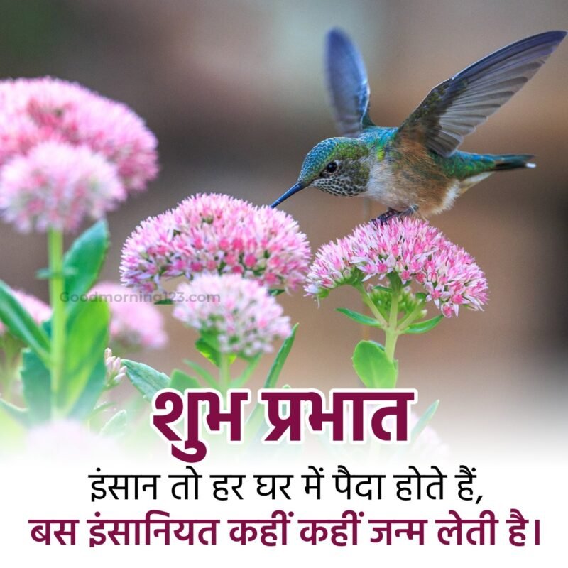 Uplift Your Morning: Suvichar Quotes and Images Collection