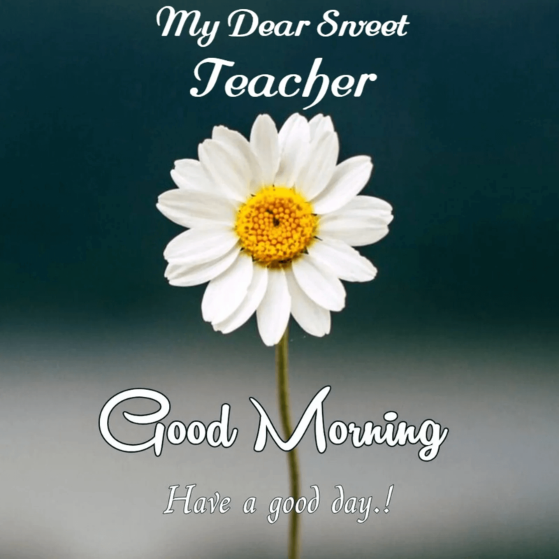 Good Morning Images And Wishes For Our Respected Teachers