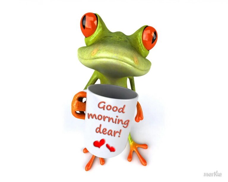 Good Morning Frog Pictures And GIFs