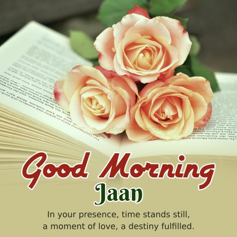 Lovely Good Morning Jaan Photos