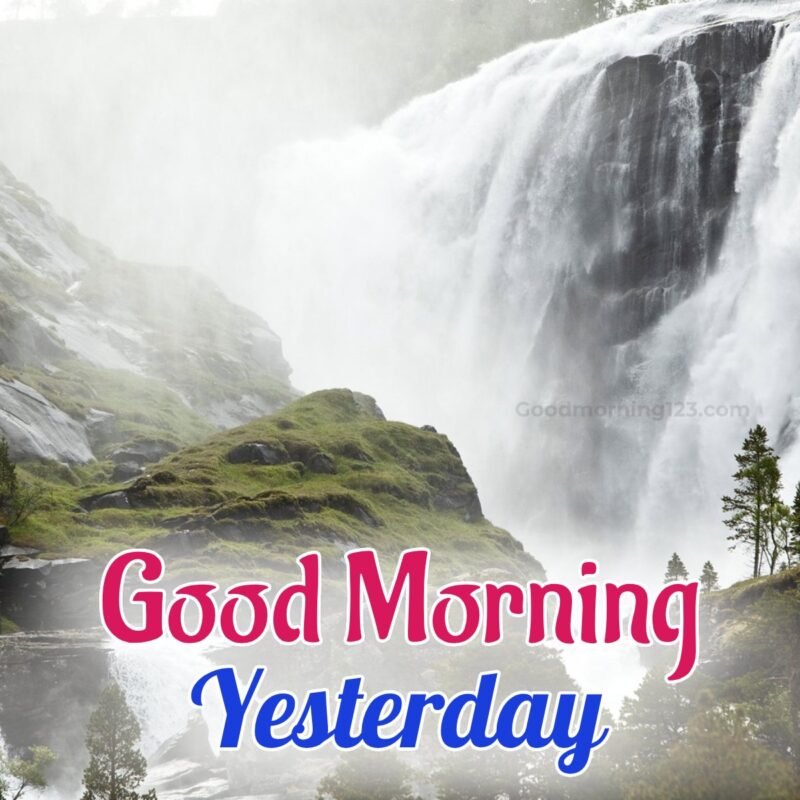 Good Morning Yesterday Photos