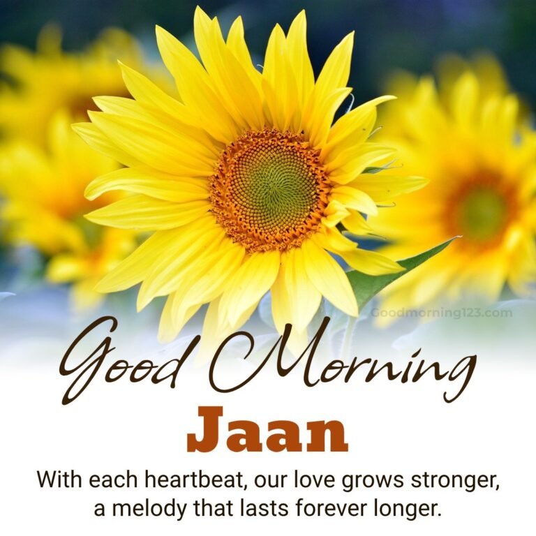 Lovely Good Morning Jaan Photos