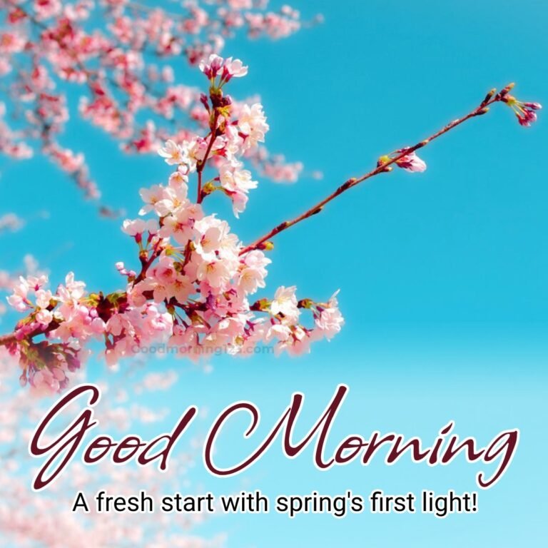 Spring Vibes: Good Morning Images and Messages
