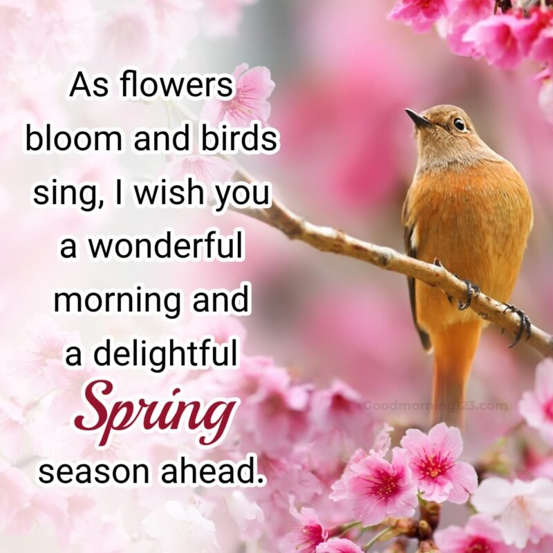 Spring Vibes: Good Morning Images and Messages