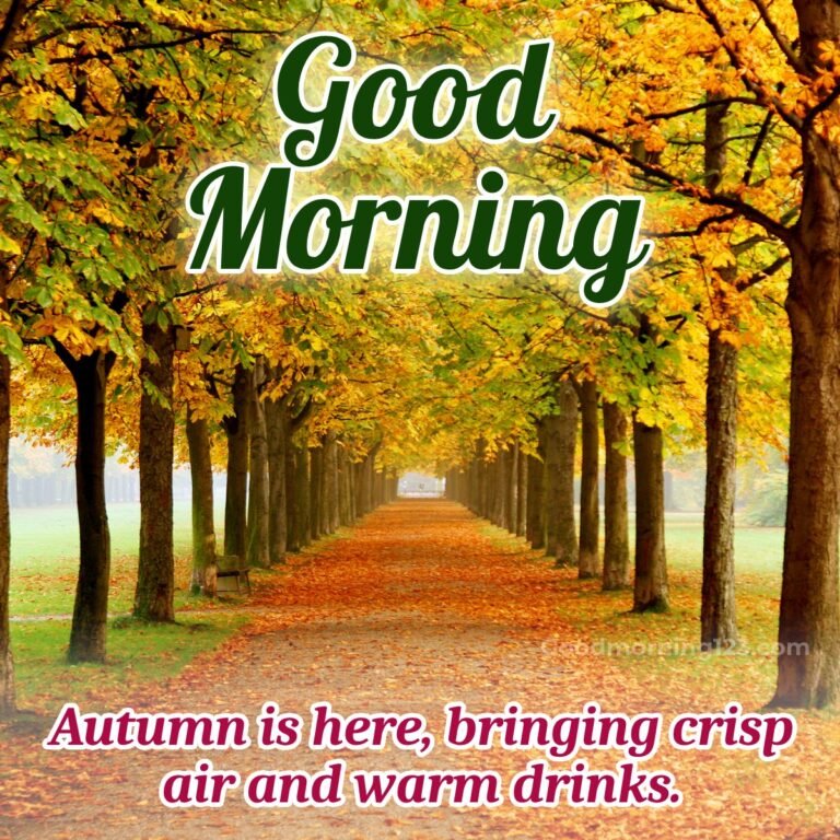 Beautiful Autumn Good Morning Images And Wishes