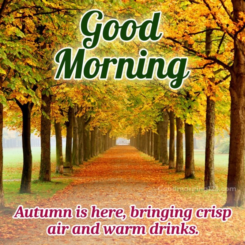 Beautiful Autumn Good Morning Images And Wishes
