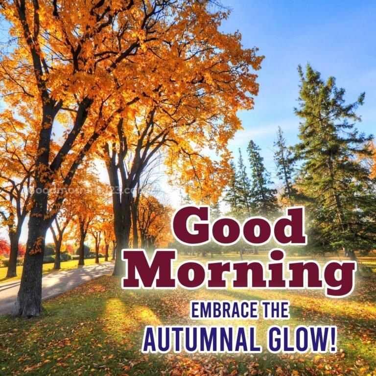 Beautiful Autumn Good Morning Images And Wishes