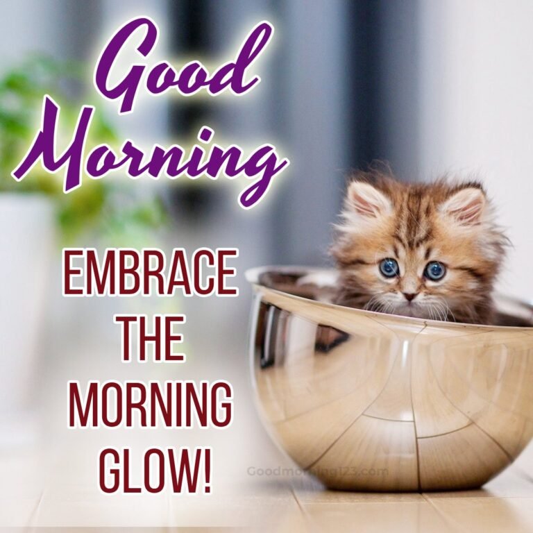 Adorable Kitten Good Morning Images