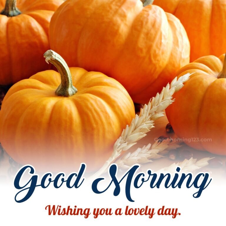 Good Morning Pumpkin Pictures