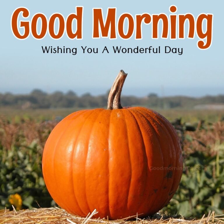 Good Morning Pumpkin Pictures