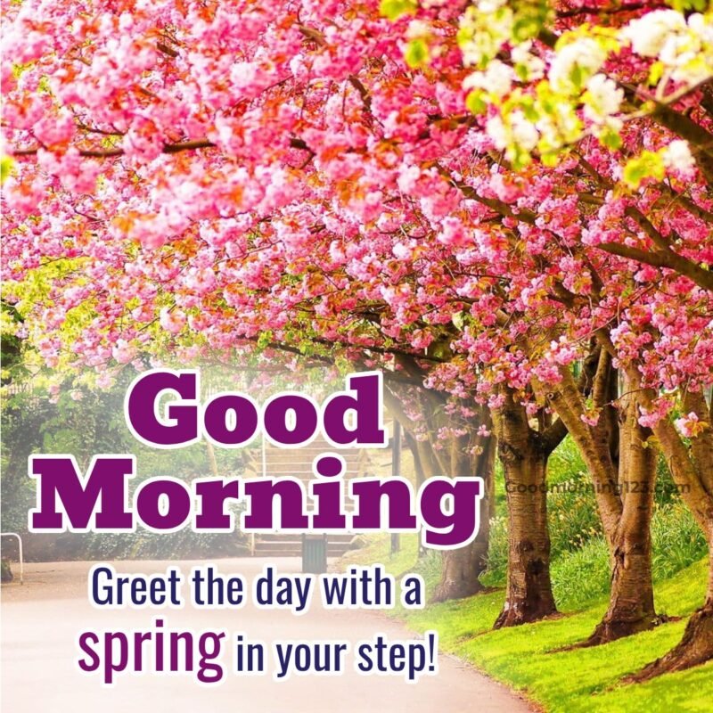 Spring Vibes: Good Morning Images and Messages