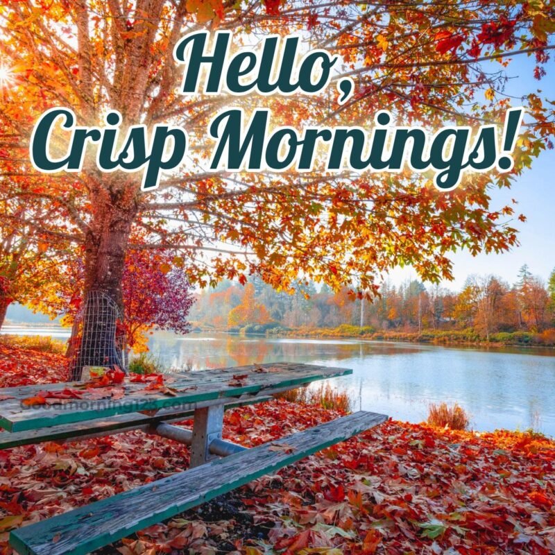 Beautiful Autumn Good Morning Images And Wishes