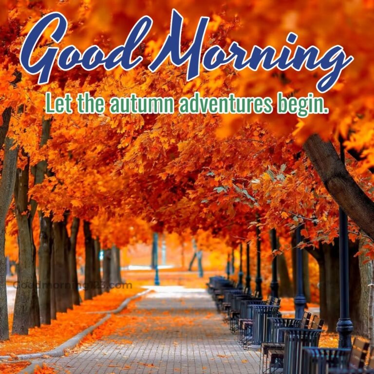 Beautiful Autumn Good Morning Images And Wishes