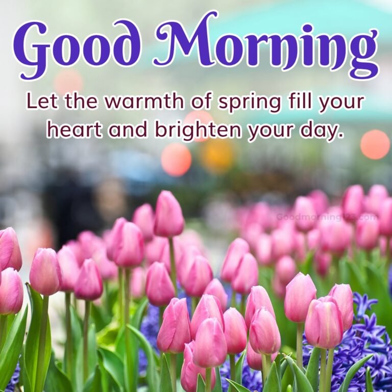 Spring Vibes: Good Morning Images and Messages