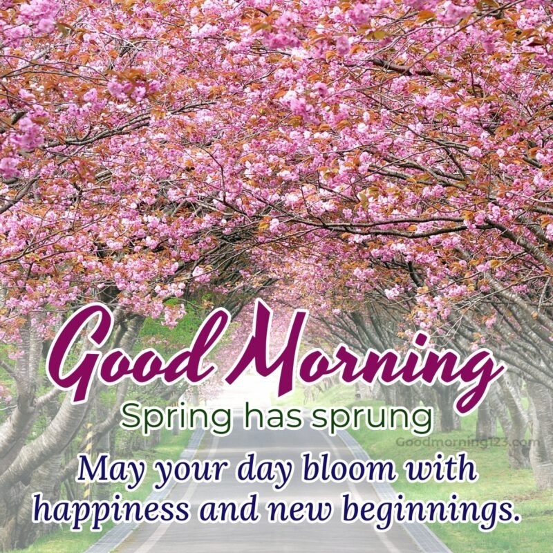 Spring Vibes: Good Morning Images and Messages
