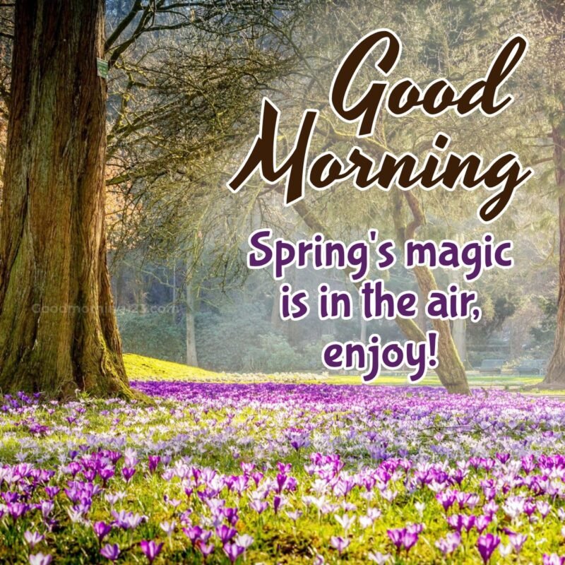 Spring Vibes: Good Morning Images and Messages