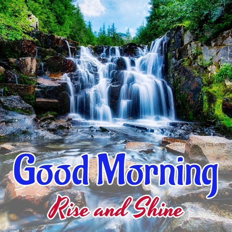 Rise And Shine Good Morning Pictures