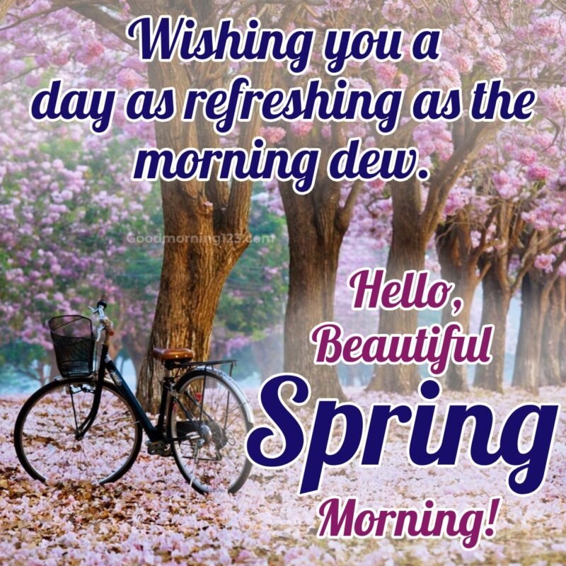 Spring Vibes: Good Morning Images and Messages