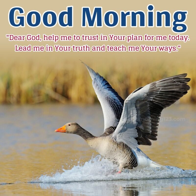 Good Morning Prayers Images And Quotes