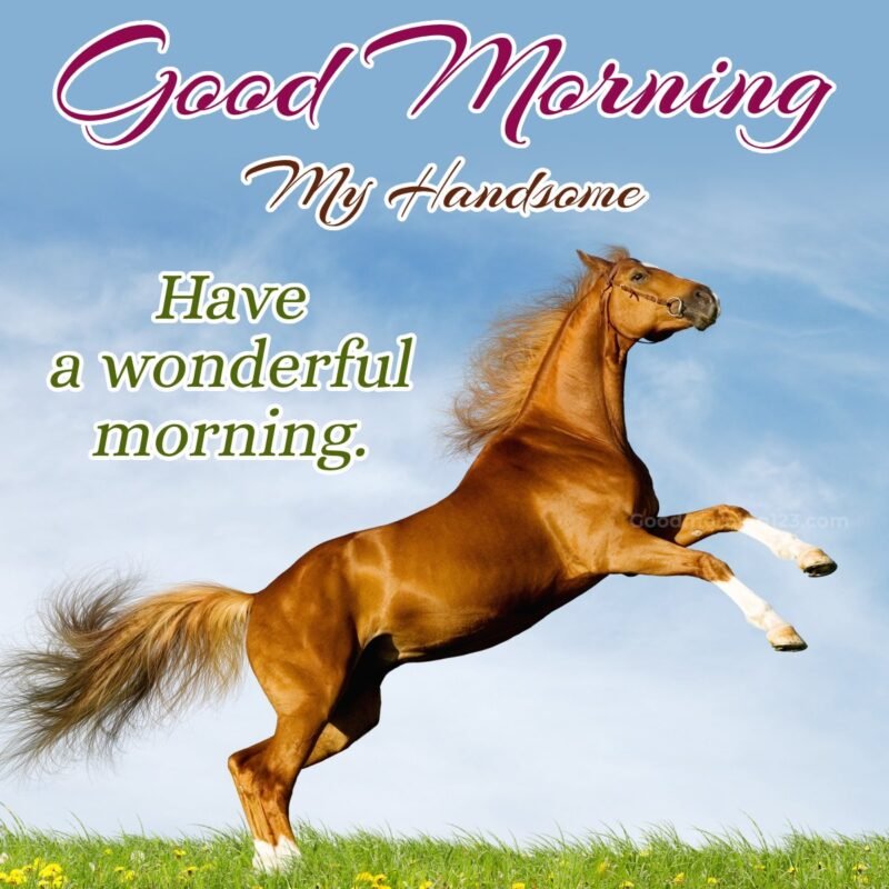 Hello Handsome! Inspiring Good Morning Images and Messages