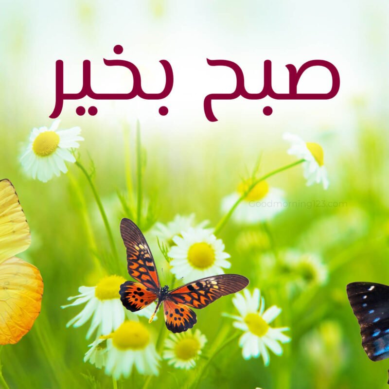 How to Say Good Morning in Top 20 Languages?