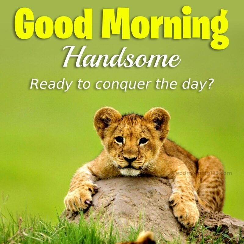 Hello Handsome! Inspiring Good Morning Images and Messages